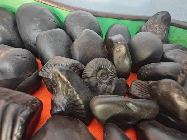 The Divine Presence of Sri Shaligram Shila in Kaligandaki river ...